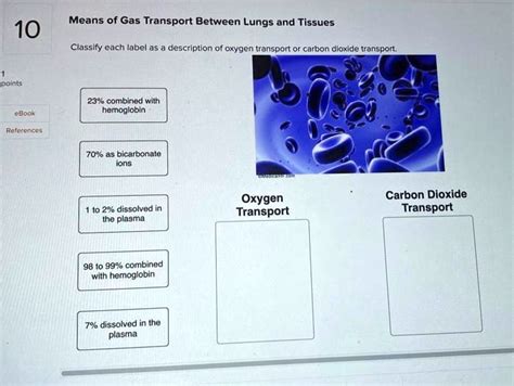 Solved 10 Means Of Gas Transport Between Lungs And Tissues Classify Each Label As A Description