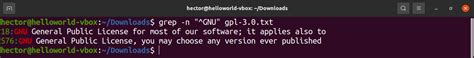 Linux How To Find Text In File Posetke