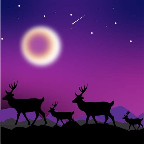 Captivating Graphics Scenery For Your Visual Delight By Hassanabbas128