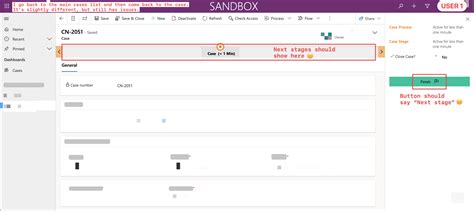 Model Driven App Help With Flow Stages And Custom Security Roles R