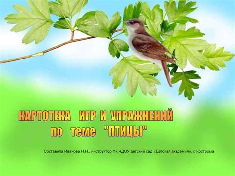 Птицы. Дидактические игры для дошкольников - презентация онлайн