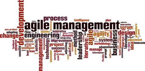 Agile Management Word Cloud Stock Vector Illustration Of Kanban Consensus 144160453