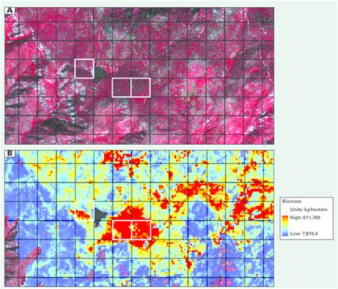 The Lidar Derived Biomass Model Accurately Reflects The Trends In Download Scientific Diagram