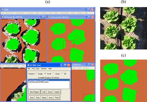 Sample View Of The Manual Classification Process Using Software Envi