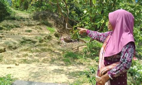 Viral Pekerja Sedot Wc Di Tuban Buang Tinja Ke Depan Rumah Tetangga Lambeturah Official Website