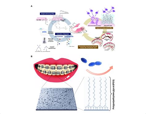 Polymeric Anti Fouling Strategies A Zwitterionic Antifouling Download Scientific Diagram