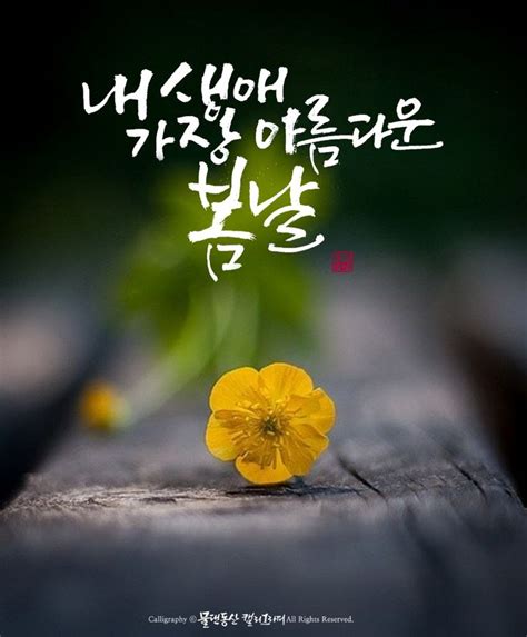 봄날 캘리그라피 멋진 문구 손글씨 손글씨 문구