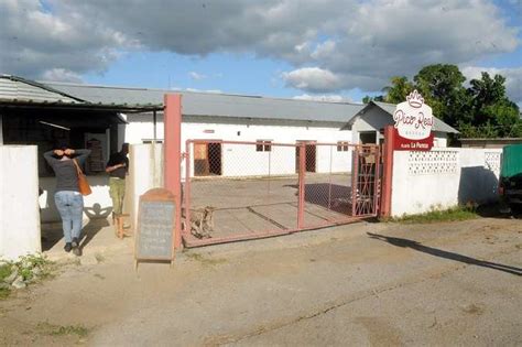 Pico Real un sazón de altura en Bahía Honda Artemisa Diario