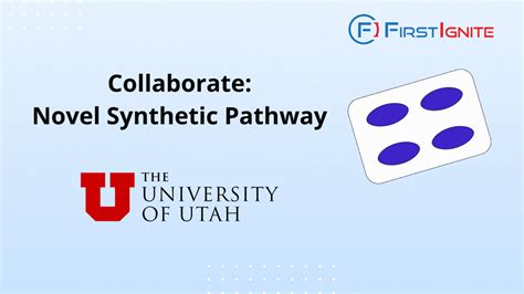 Collaborate Novel Synthetic Pathway Firstignite