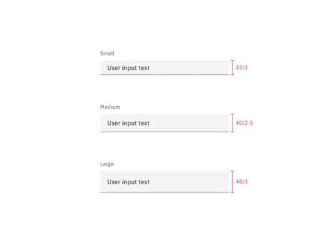 Text Input Carbon Design System