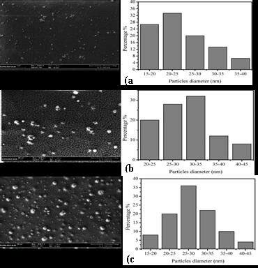 SEM Images And Particle Size Distribution Of Samples A 0 8 M Download Scientific Diagram