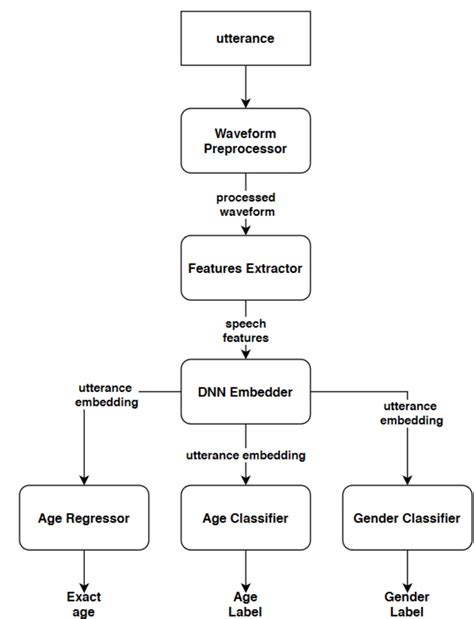 High Level Representation Of The System For Joint Age Estimation And Download Scientific