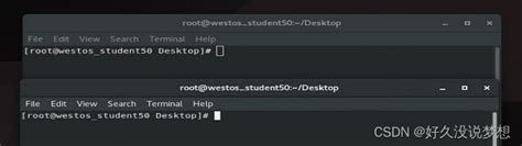 想学linux命令行使用技巧，看这一篇就够了！linux怎么输入命令 Csdn博客