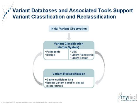 Best Practices For The Use Of Clinical Databases