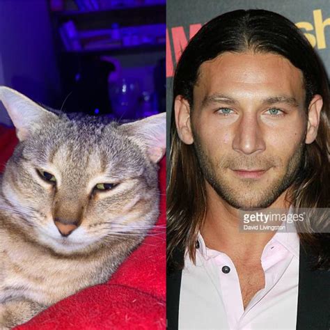 Does Gooby Look Like This Man My Roomate Thinks She Does Lol R Cat