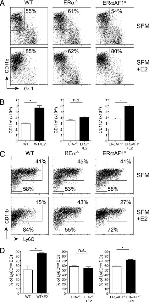 Figure 1 From Estradiol Promotes Functional Responses In Inflammatory And Steady State Dendritic