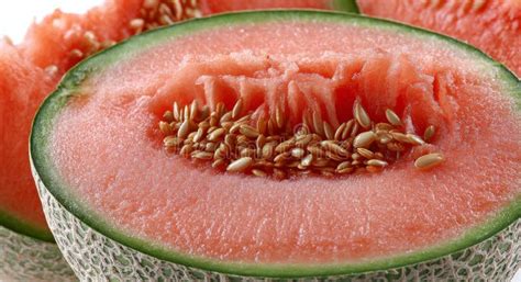 Up Close The Cantaloupe Halves Reveal Their Vibrant Orange Flesh And