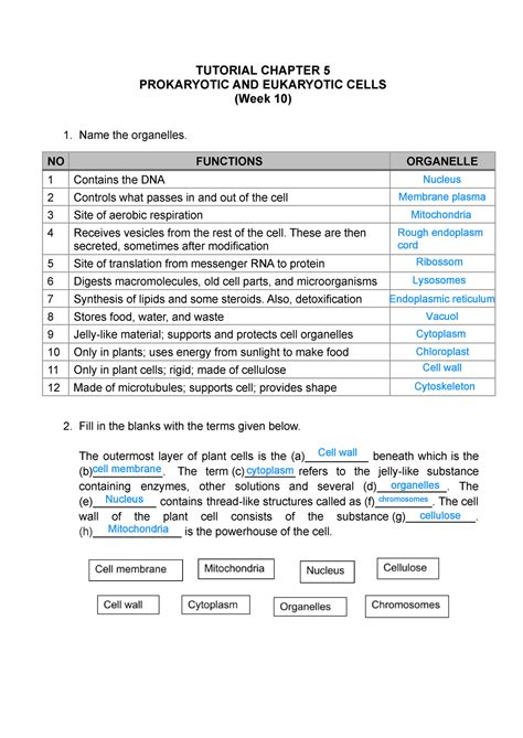 Tutorial Week 11 Ans Week 11 Answers Tutorial Chapter 5