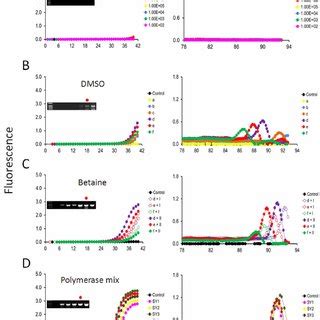 Modification Of The Original SYBR Green I Kit A Amplification And Download Scientific Diagram