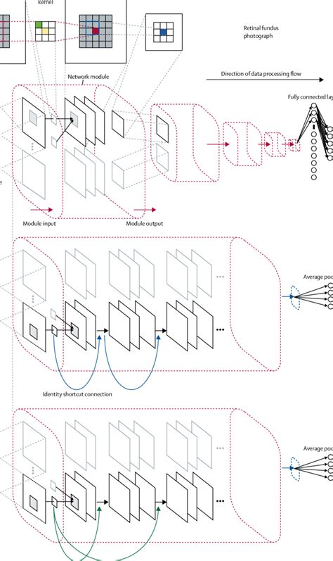 Deep Learning System The Deep Neural Network Ensemble For Detection Of Download Scientific