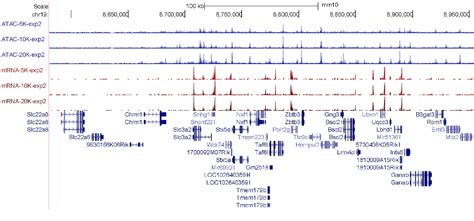 Figure 2 From Low Input Atacandmrna Seq Protocol For Simultaneous