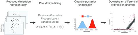 Workflow For Fitting Bayesian Gaussian Process Latent Variable Model Download Scientific