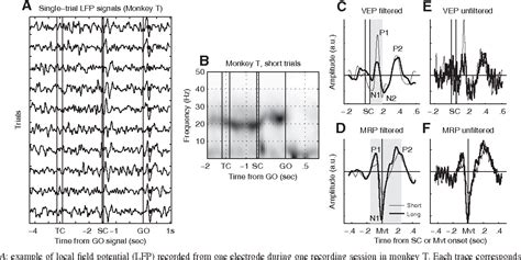 Figure 3 From Evoked Potentials In Motor Cortical Local Field Potentials Reflect Task Timing And
