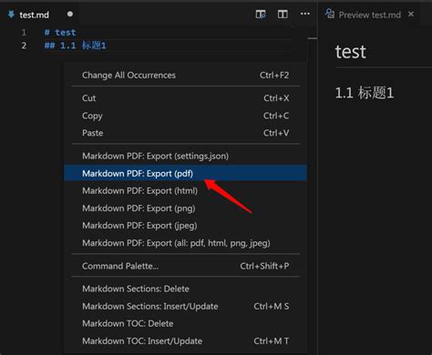 今天小编为大家带来了Vscode插件Markdown PDF转换错误解决方法想知道怎么做的小伙伴 哔哩哔哩