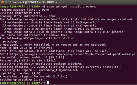 Installing Procdump For Linux The Best C Programmer In The World