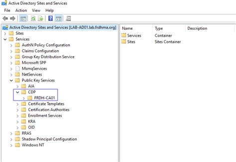 Pki Add Root Ca Info To Active Directory Software And Applications Spiceworks Community
