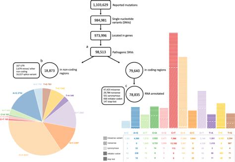 Dna 和 Rna 碱基编辑器可以纠正大多数致病性单核苷酸变异 Npj Genomic Medicine X Mol