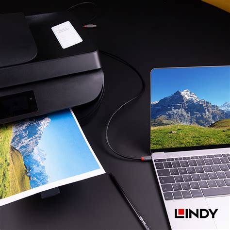Lindy林帝 Anthra Usb3 2 Gen1 Type C公 To B公 傳輸線 2m Lindy林帝原廠購物網