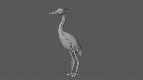 Heron 3d Model Rigged And Low Poly Team 3d Yard