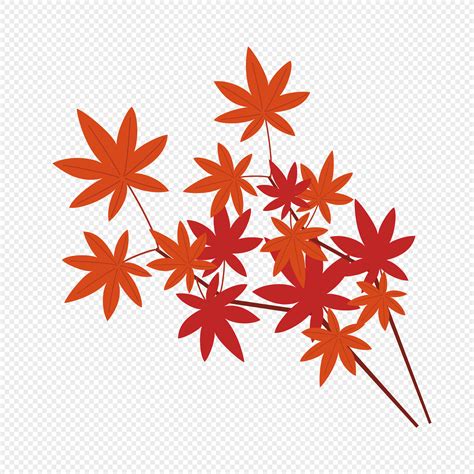 메이플 리프 Png 일러스트 무료 다운로드 Lovepik