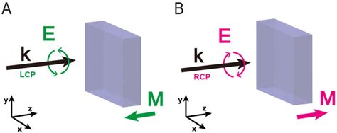 Principle Of The Inverse Faraday Effect A Circularly Polarized