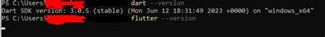Dart Flutter Doctor Is Not Working Nothing Happens Stack Overflow