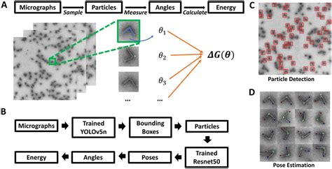 A The Traditional Pipeline For Analyzing Dynamic Dna Origami Device