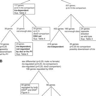 Overview Of Results From Statistical Tests Performed On Microarray Download Scientific Diagram