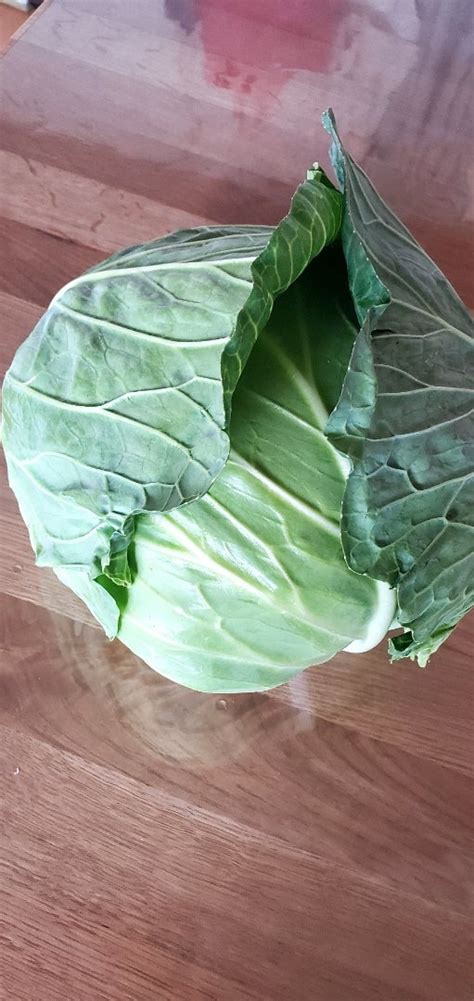 血液検査結果 潮騒荘の暮らし