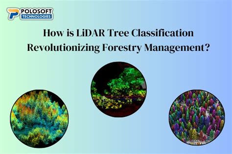 How Is Lidar Tree Classification Revolutionizing Forestry Management