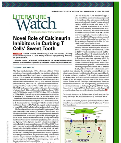 Illustration Of The Effect Of Calcineurin Inhibitors On T Cell