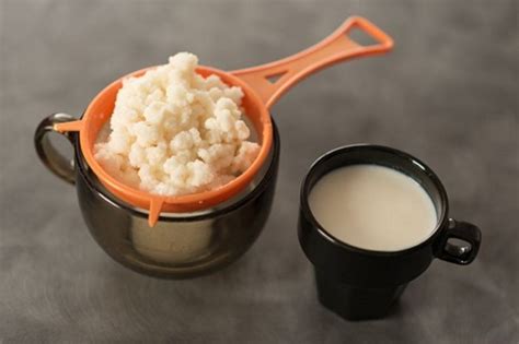 Чим корисний тибетський молочний гриб Жіночий Світ