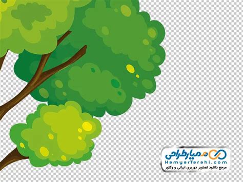 تصویر Png شاخه درخت 05022595