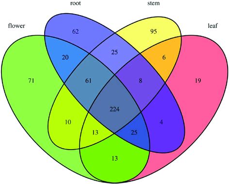 The Spatial Expression Patterns Of Identified Mirnas In Root Stem
