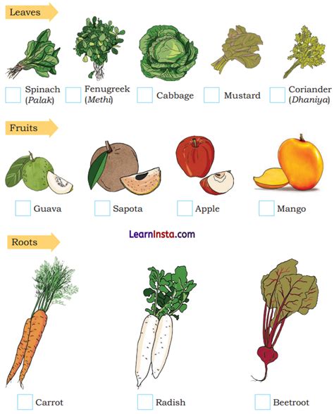 Food We Eat Class 3 Evs Question Answer