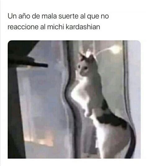 Wattpad De Todo Michis Con Mucho Amorsh Muak Memes De Perros