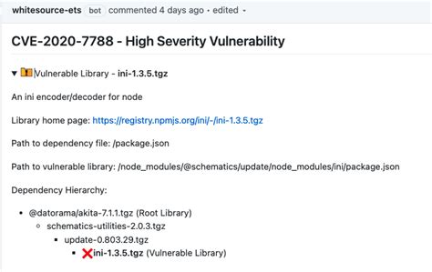 Ini 135 Dependency Vulnerability In Npm Audit · Issue 698
