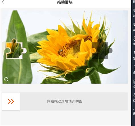 如何通过滑块验证undefined雷电安卓模拟器论坛