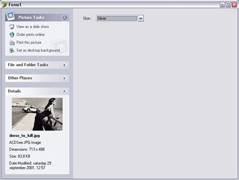 Maxxs Delphi Site Explorer Bar