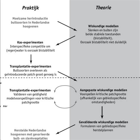 Schematic Diagram Of A Possible Combination Of Theoreti­ Cal And Download Scientific Diagram